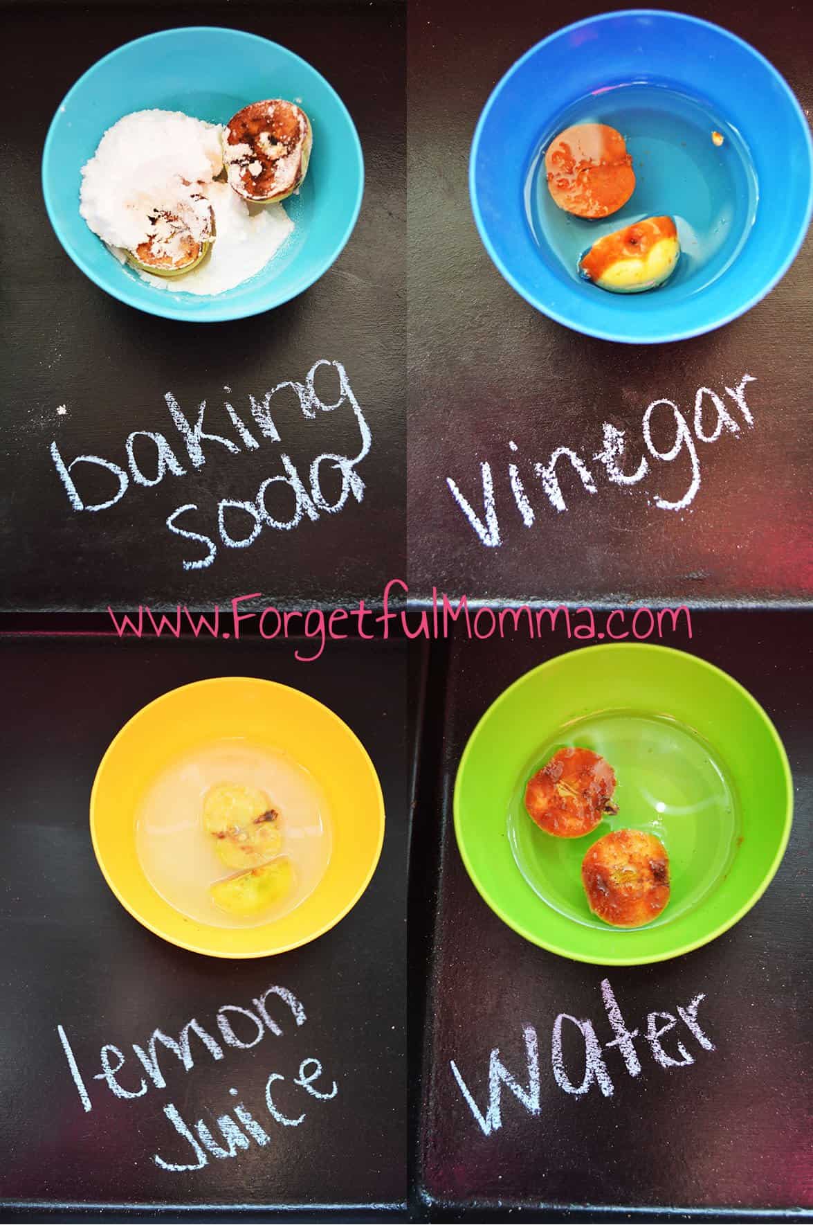 Apple Browning Experiment: Understanding Fruit Reactions