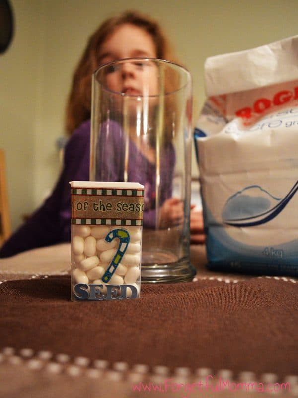 How to: Growing Candy Canes Christmas Activity