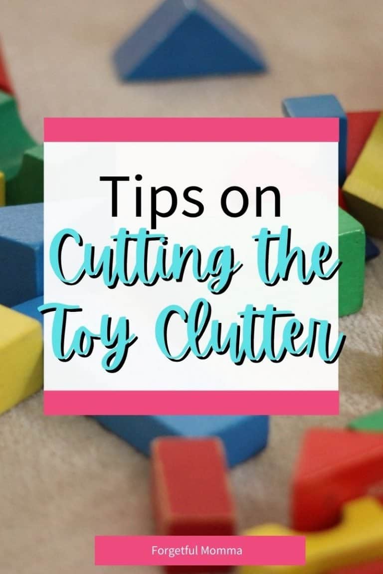 Cutting the Toy Clutter for Stress-Free Living