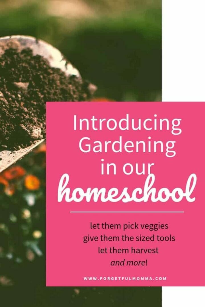 Teaching Kids to Garden: A Fun Family Homeschool Activity