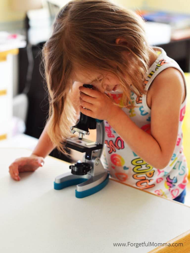 Learning with A Microscope in Your Homeschool - Forgetful Momma