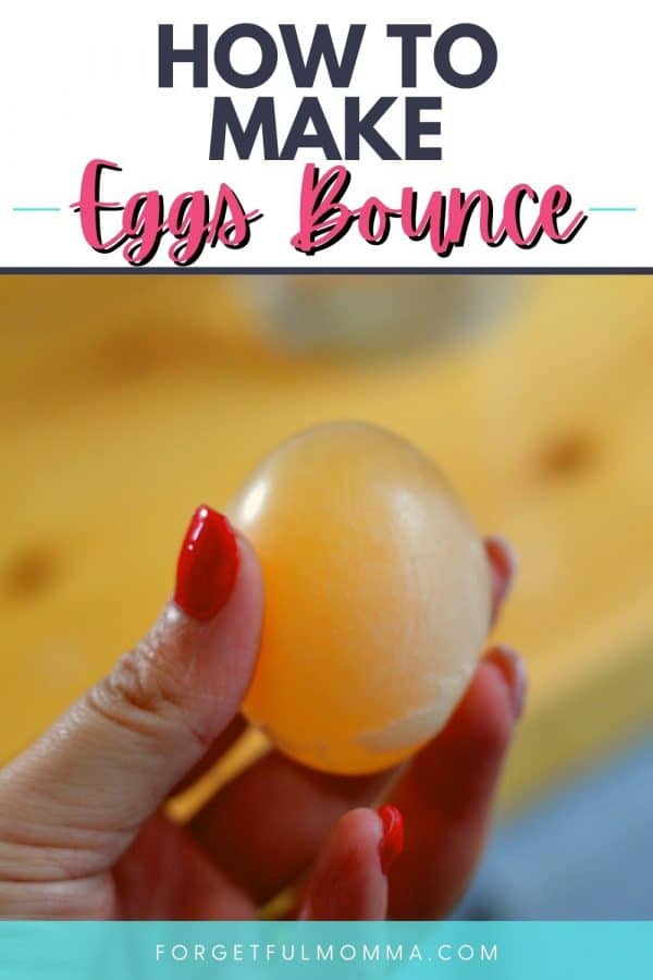 How to Make A Bouncy Egg Science Experiment - Naked Egg Experiment