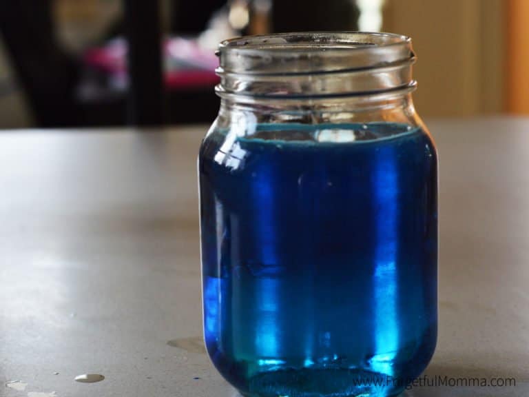 Disappearing Color Science Experiment for Kids