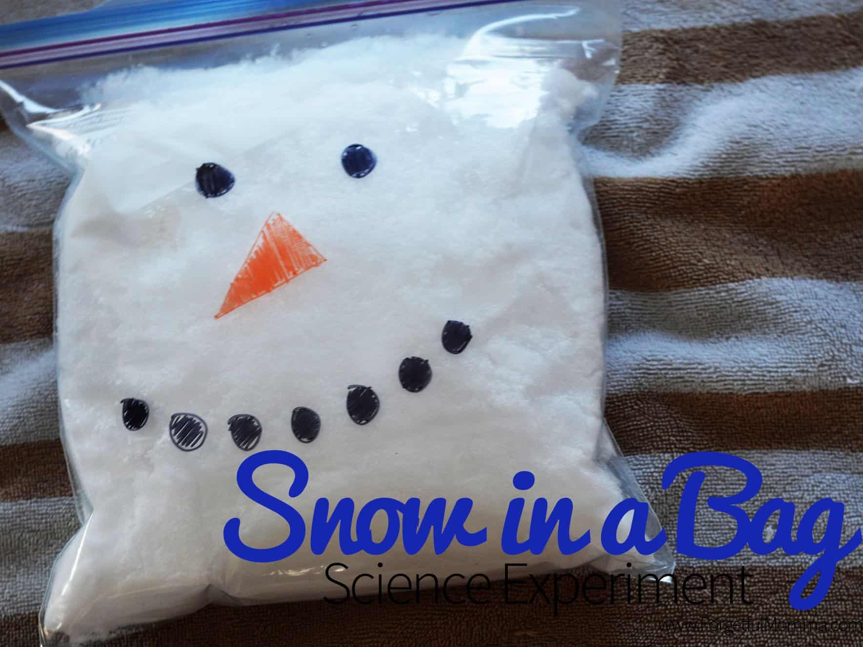 Snow Reaction in A Bag Science Experiment for Kids