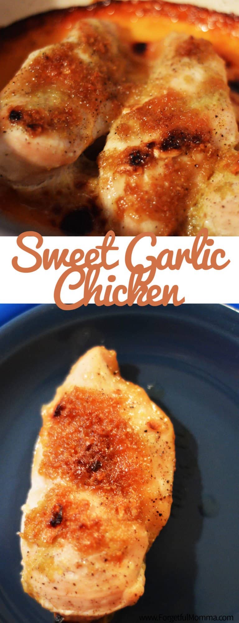 Sweet Garlic Chicken Ready in 30 Minutes Recipe