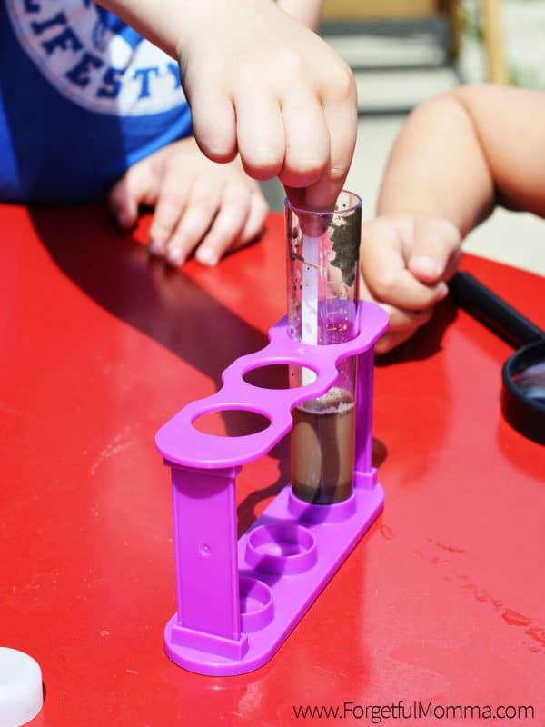 DIY Soil Testing Garden Science Experiment with Kids