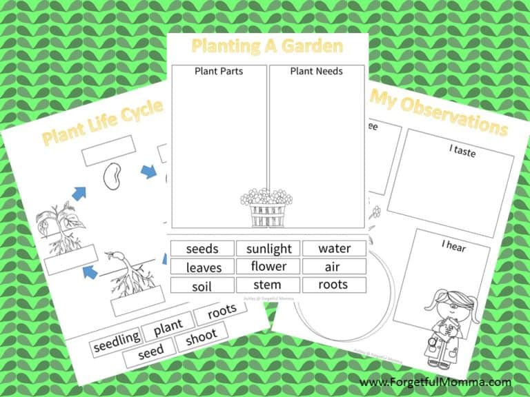 How Your Garden Grows - Berenstain Bears Grow-It!