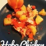 Hobo Chicken - All in One Kind of Meal