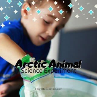Arctic Animals - Science Experiment