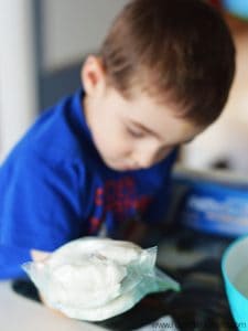 Arctic Animals - Science Experiment