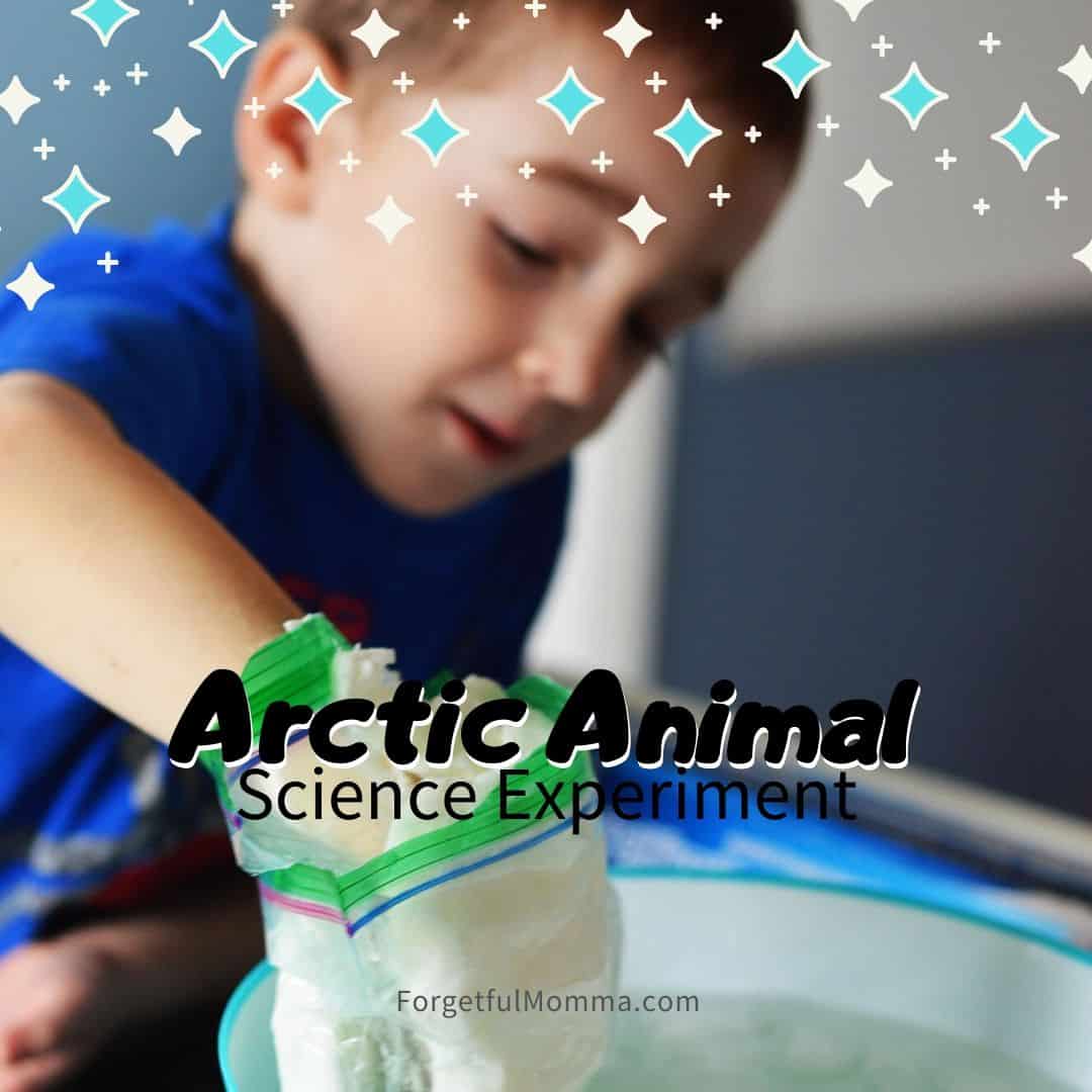 Arctic Animals - Science Experiment