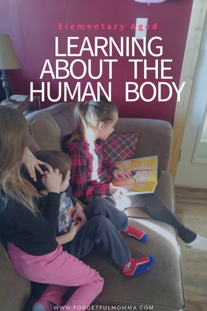 Learning About the Human Body | Human Body for Homeschooling