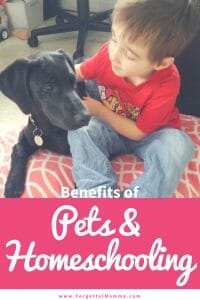 Pets and Homeschooling: Benefits for Education