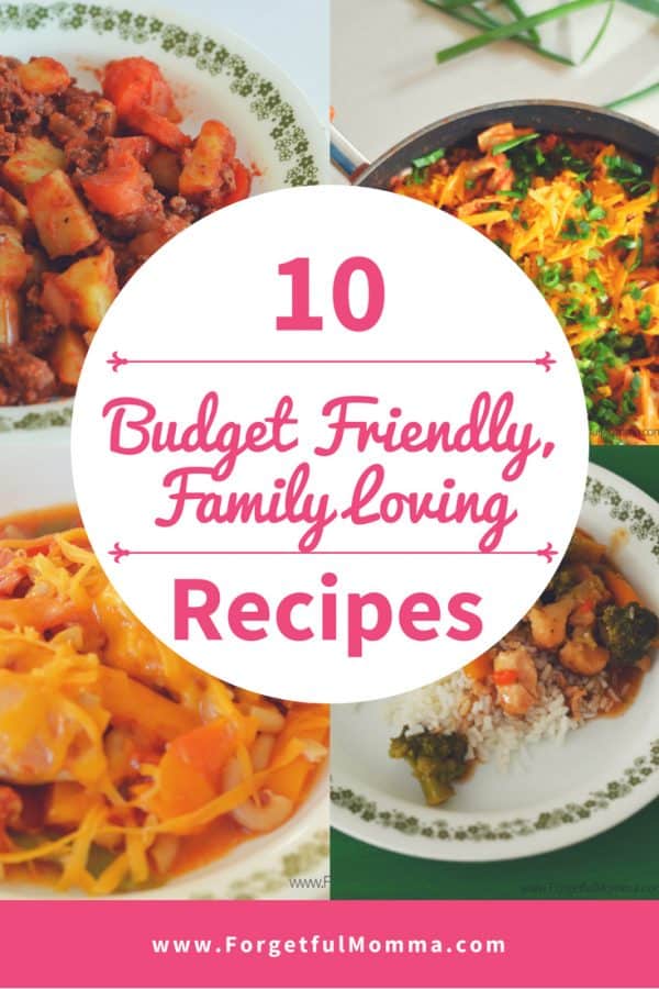 Budget Friendly Family Recipes for Quick Meals