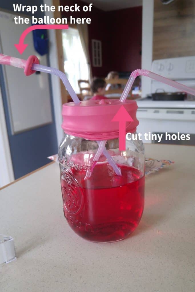 Heart Pumping Science Experiment to Teach Homeschool Kids