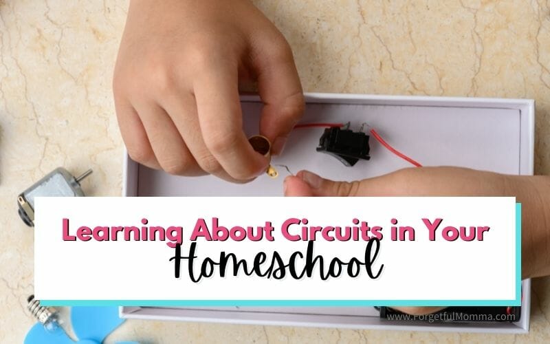 Learning About Circuits for Home Science Projects