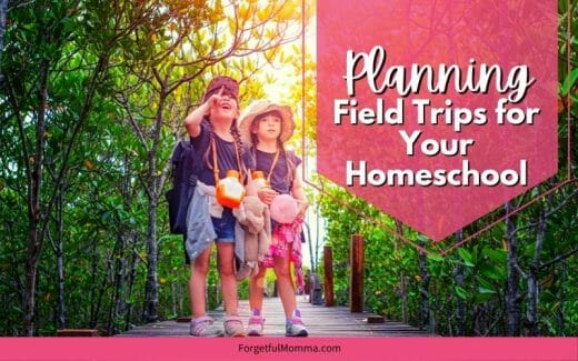 Planning Homeschooling Field Trips to Enhance Studies