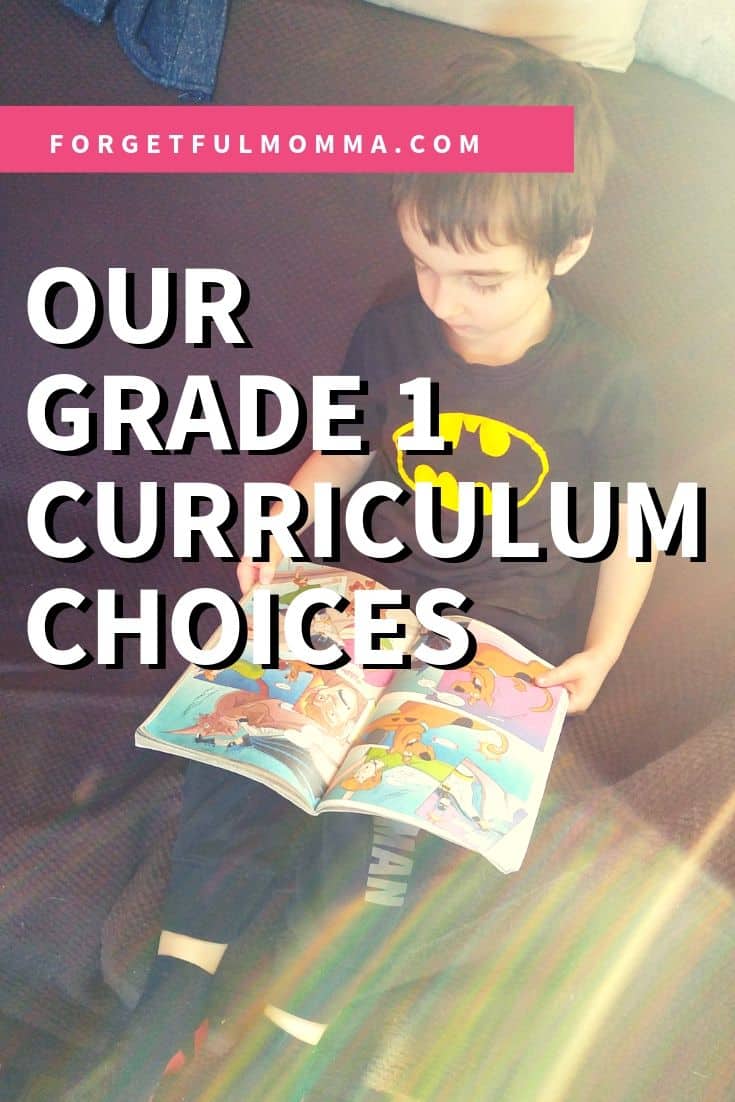 Our Grade 1 Homeschool Curriculum: A Guide