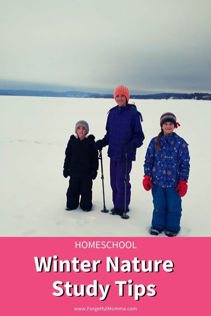 5 Homeschool Winter Nature Study Tips - Forgetful Momma