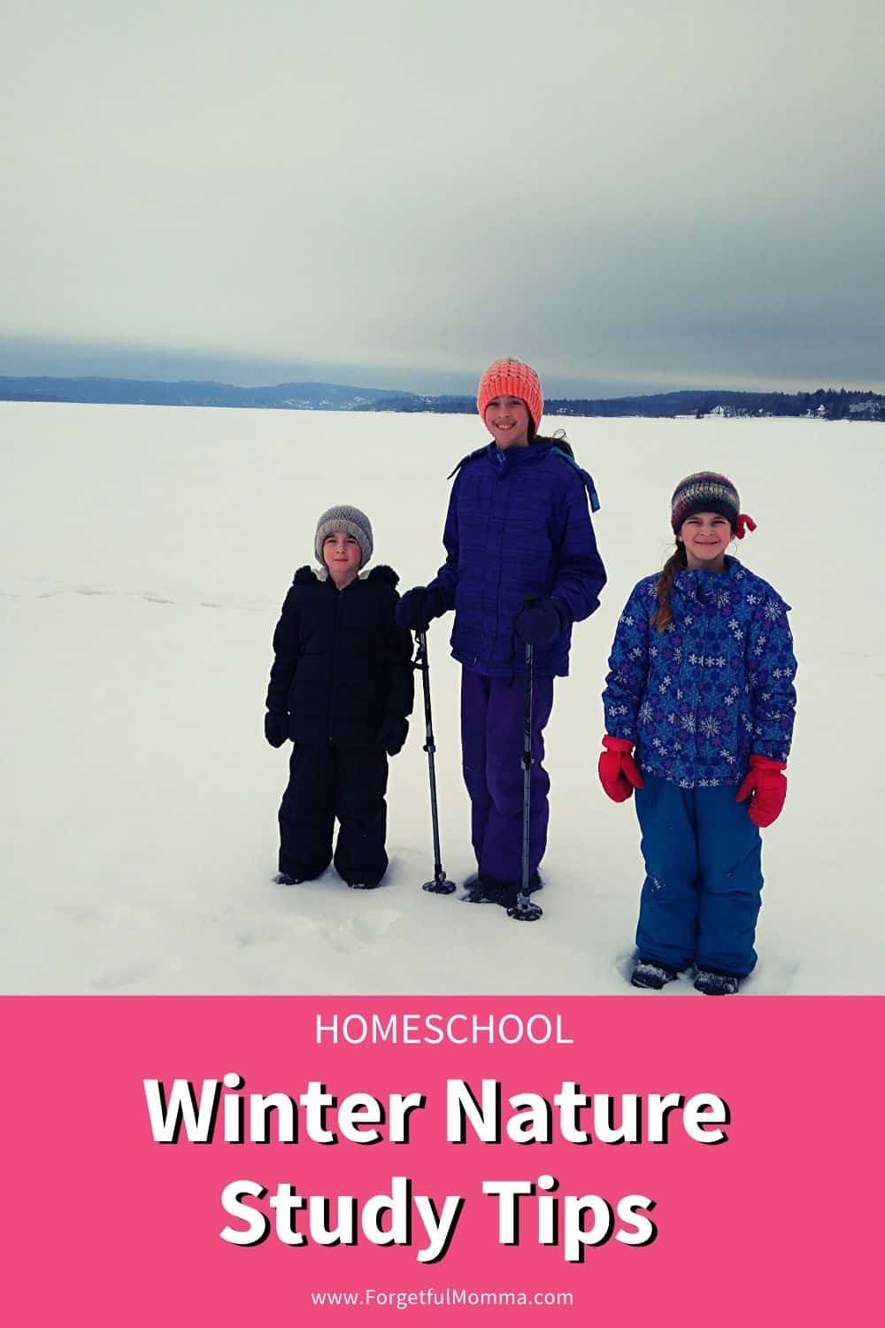 5 Homeschool Winter Nature Study Tips - Forgetful Momma