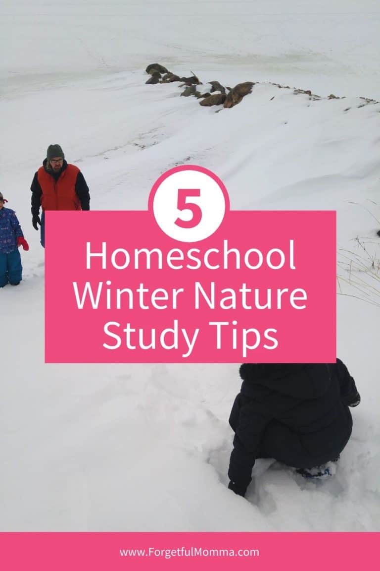 5 Homeschool Winter Nature Study Tips - Forgetful Momma