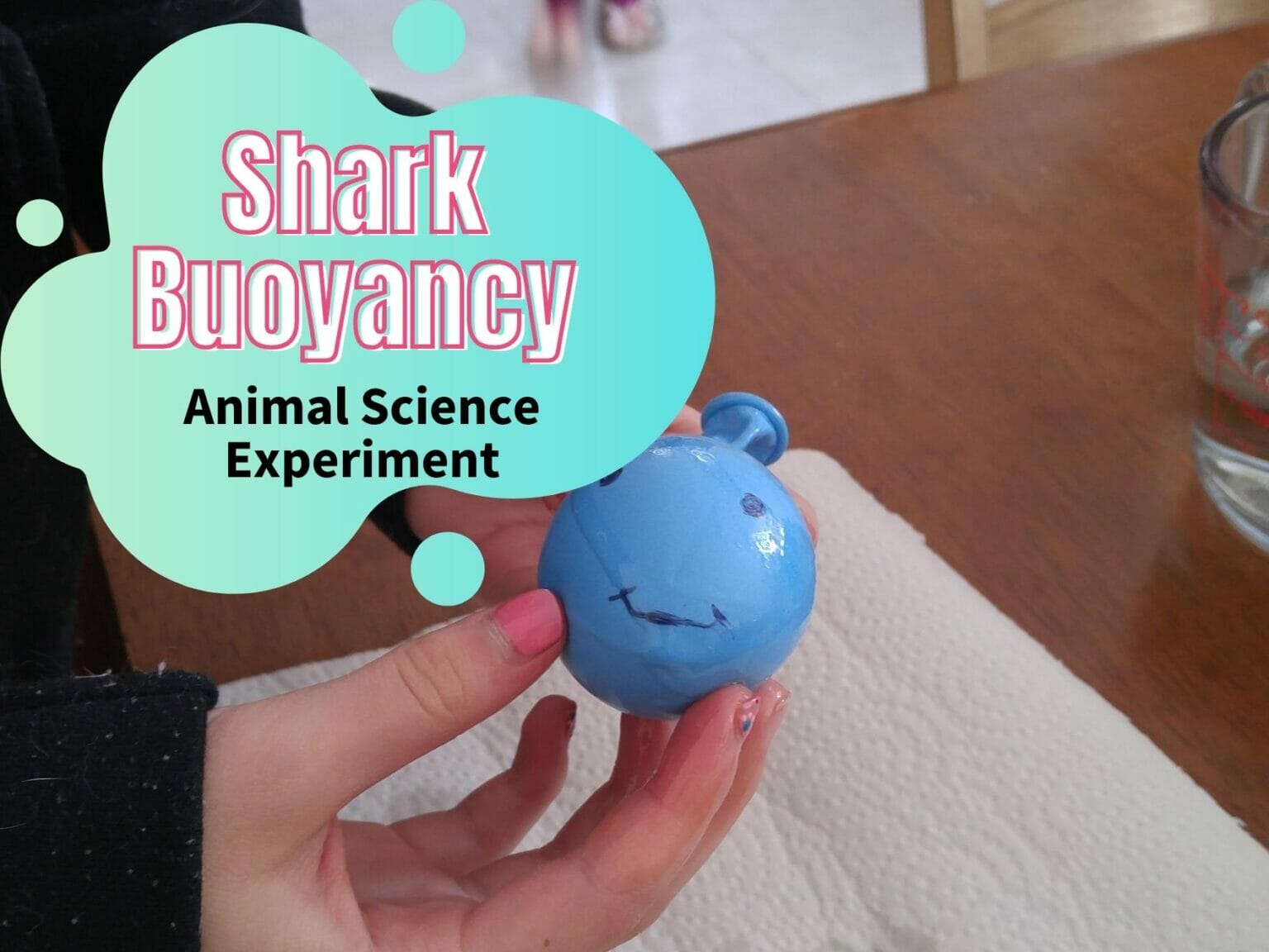 Easy Shark Buoyancy Animal Science Experiment Forgetful Momma