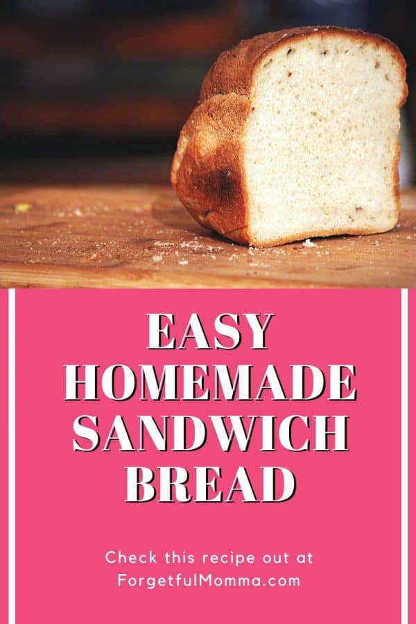 Easy Homemade Sandwich Bread: Step by Step