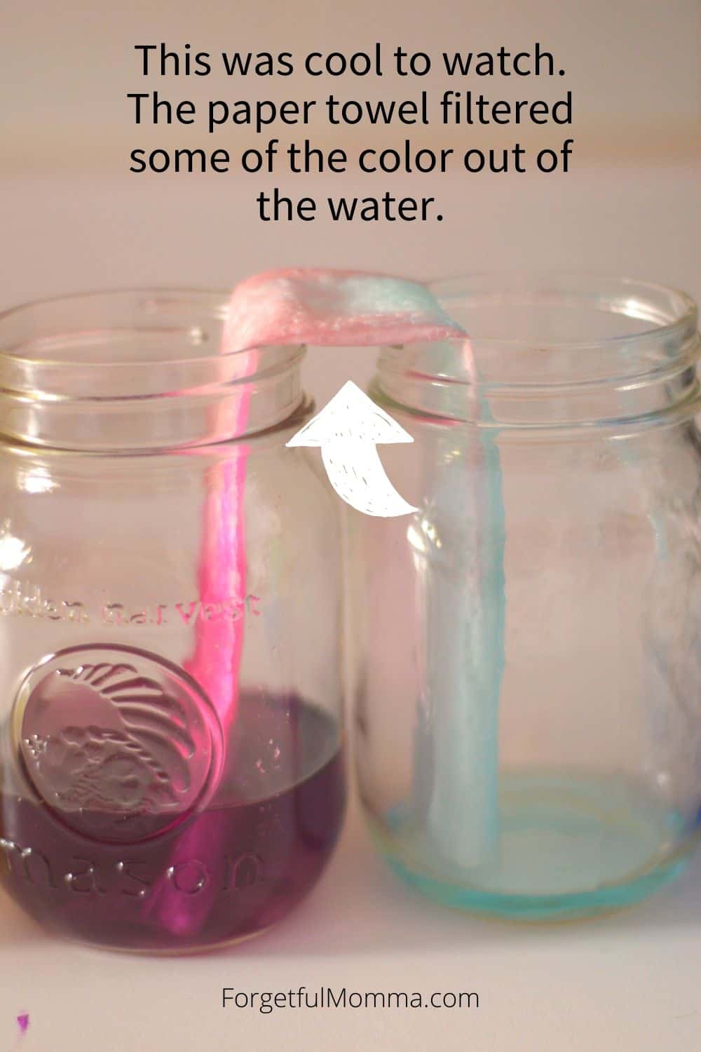 Colorful Walking Water Science Experiment - Forgetful Momma