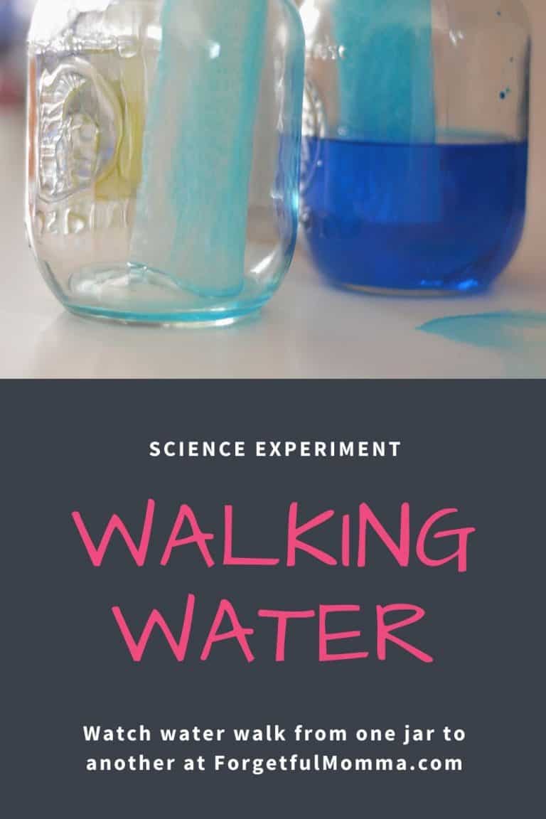 Colorful Walking Water Science Experiment - Forgetful Momma
