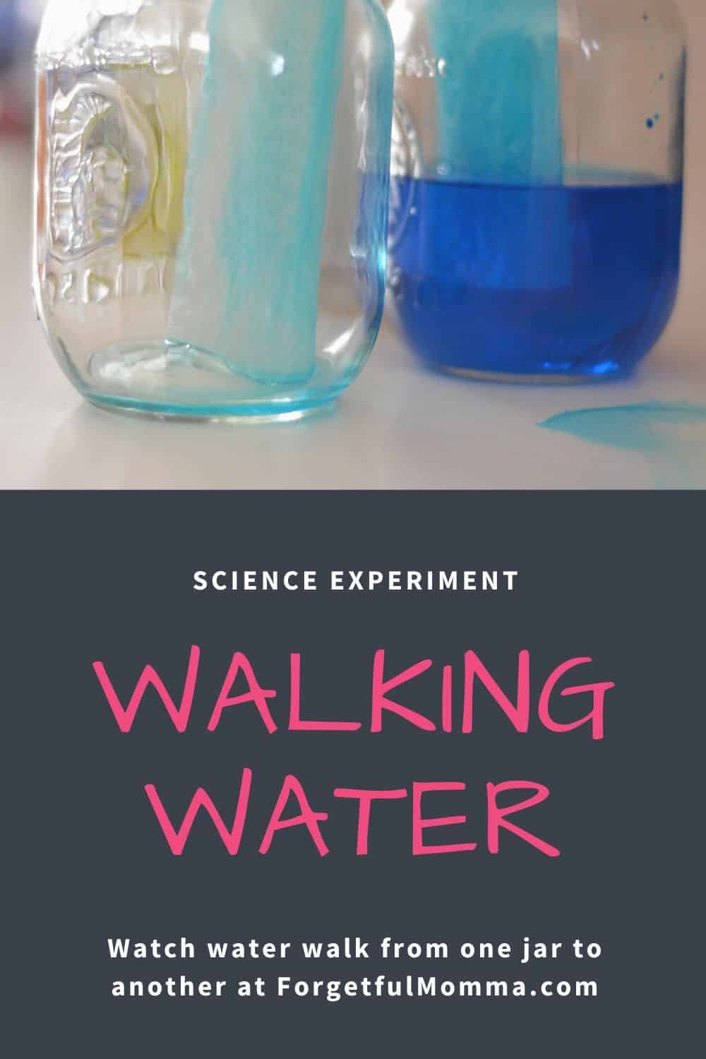 Colorful Walking Water Science Experiment Forgetful Momma colorful-walking-water-science-experiment-forgetful-momma