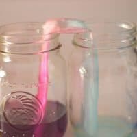 Colorful Walking Water Science Experiment - Forgetful Momma