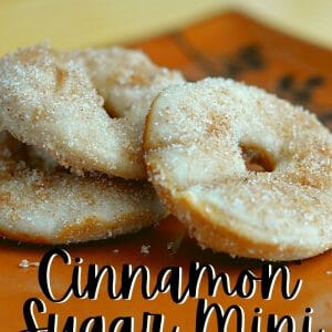 Simply Delicious Cinnamon Sugar Mini Donuts