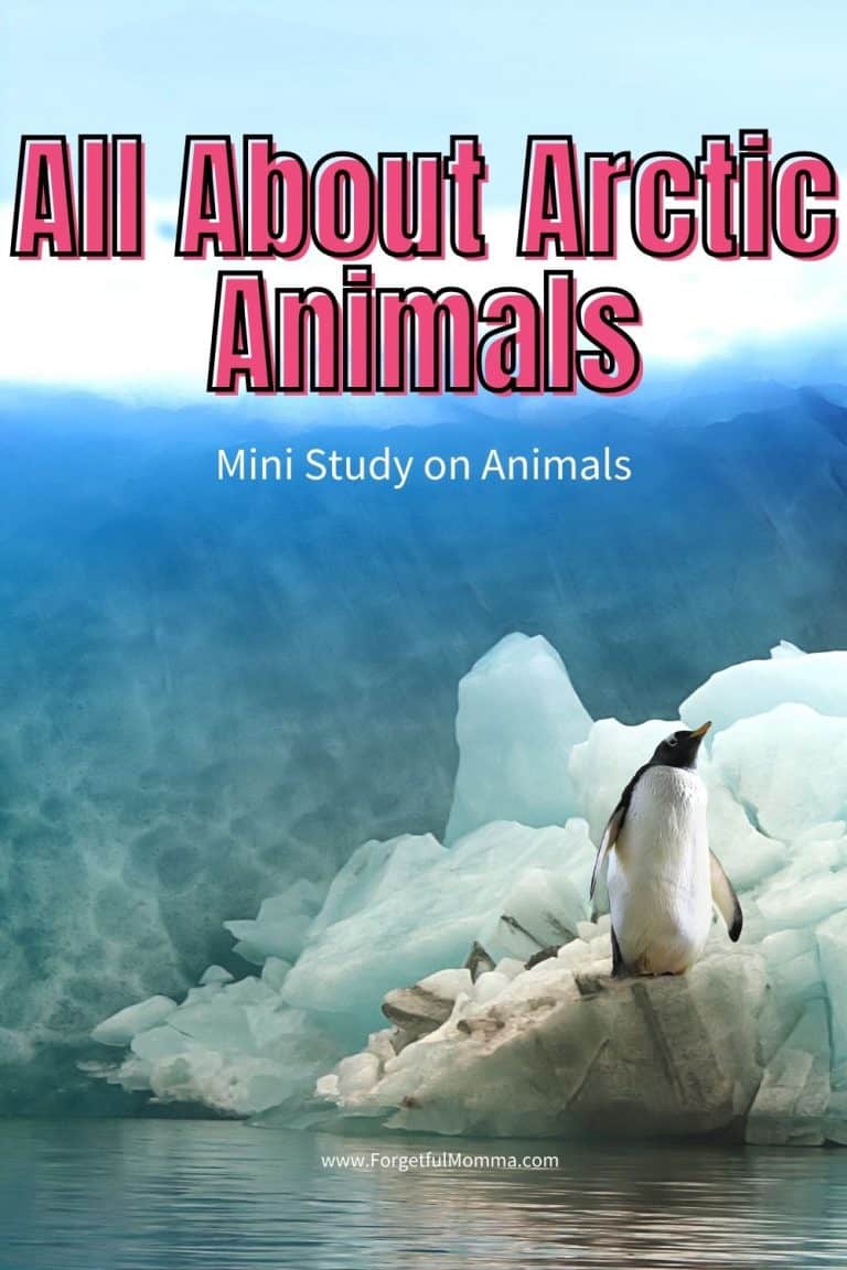 Arctic Animal Mini Unit Study: Fun Homeschool Ideas