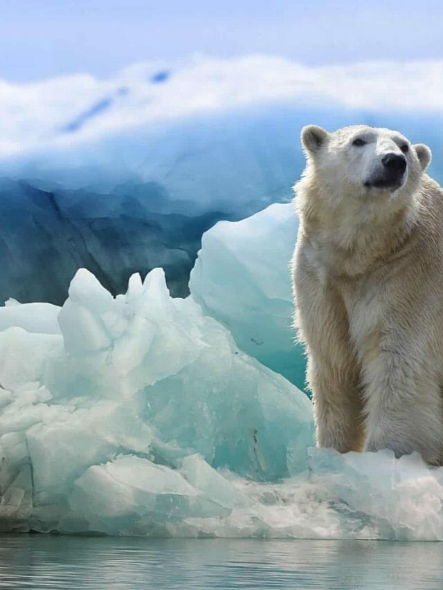 Animal Science Curriculum for Homeschool - Forgetful Momma