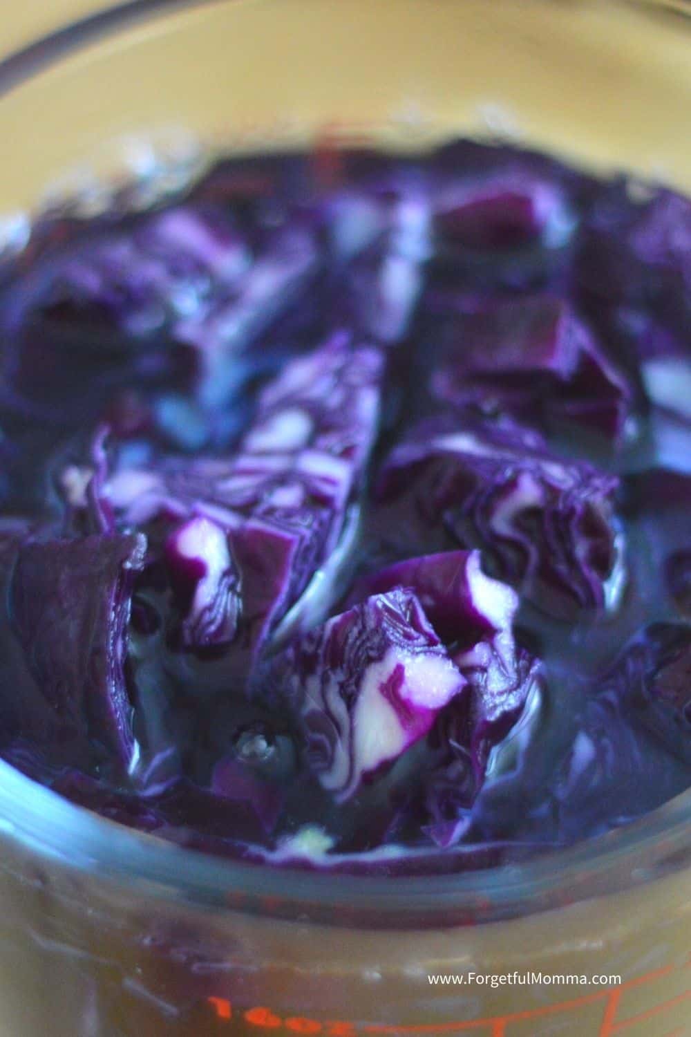 Red Cabbage pH Indicator: Easy Science for Kids