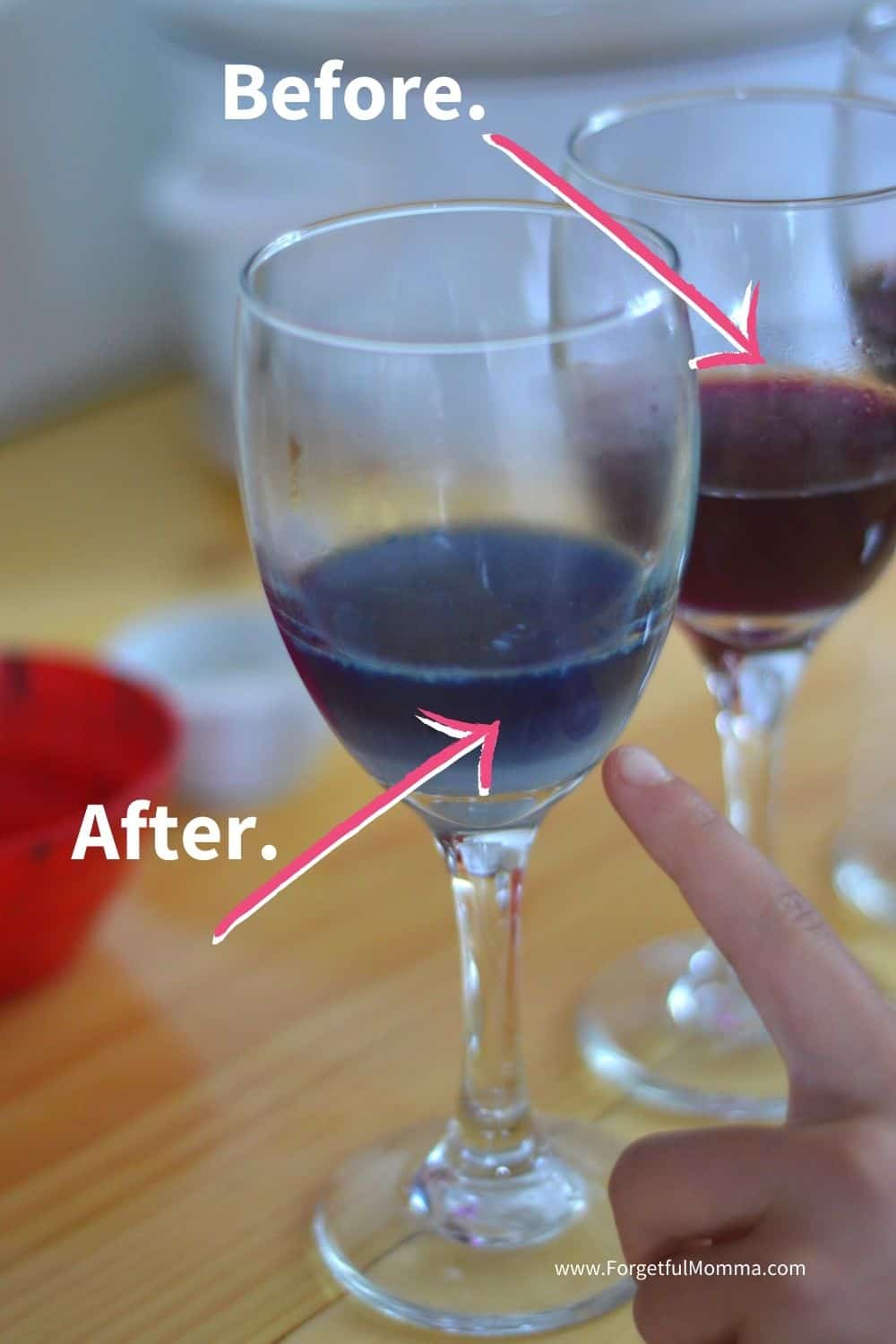 Red Cabbage pH Indicator: Easy Science for Kids