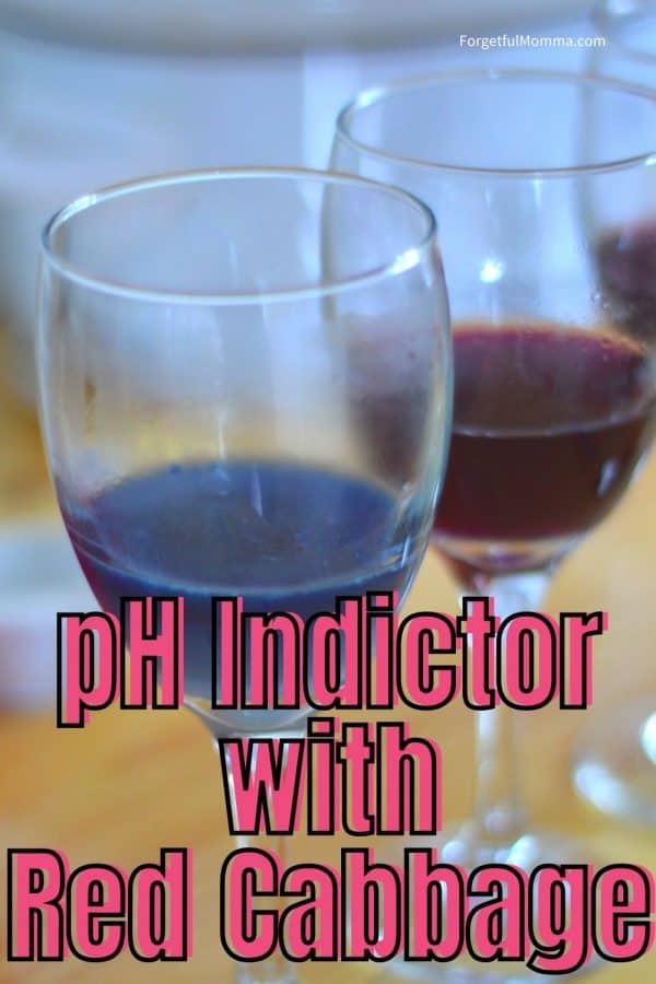 Red Cabbage pH Indicator: Easy Science for Kids