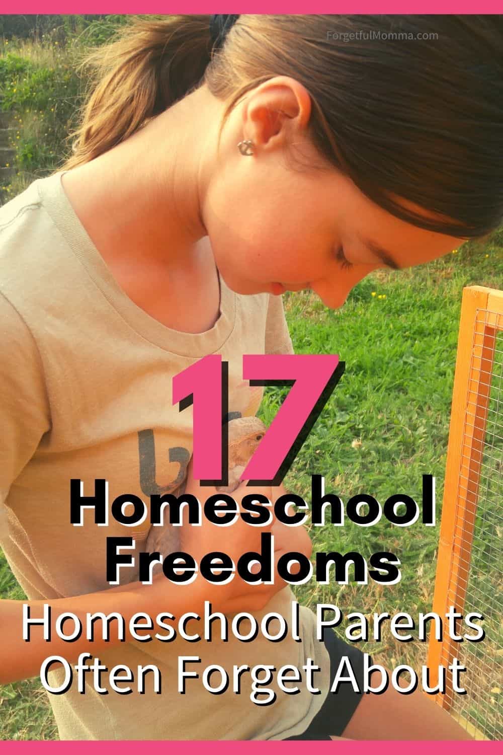 Homeschool Help for Secular Homeschoolers - Forgetful Momma