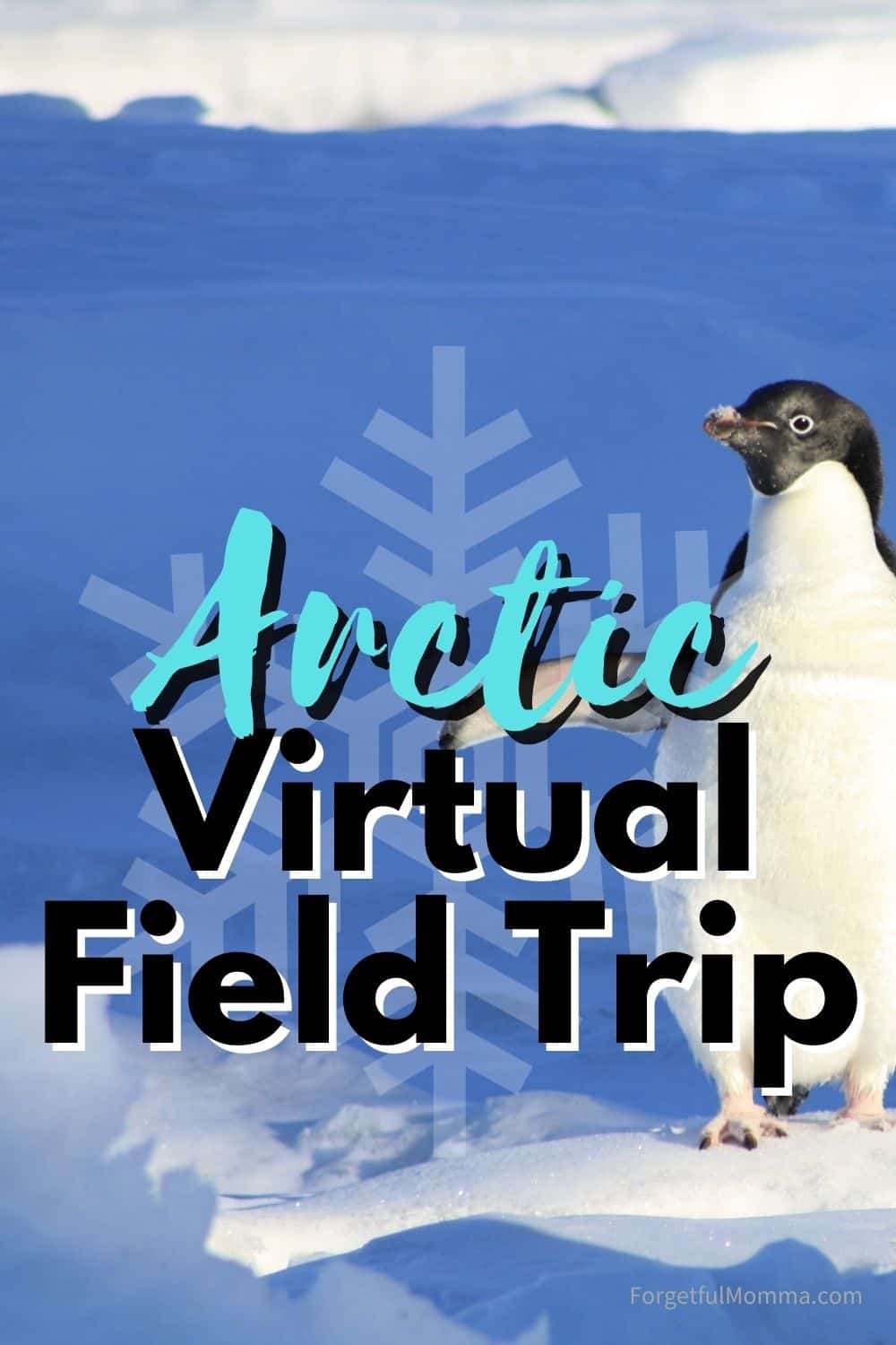 Budget Friendly Field Trips: Arctic Virtual Field Trip - Forgetful Momma