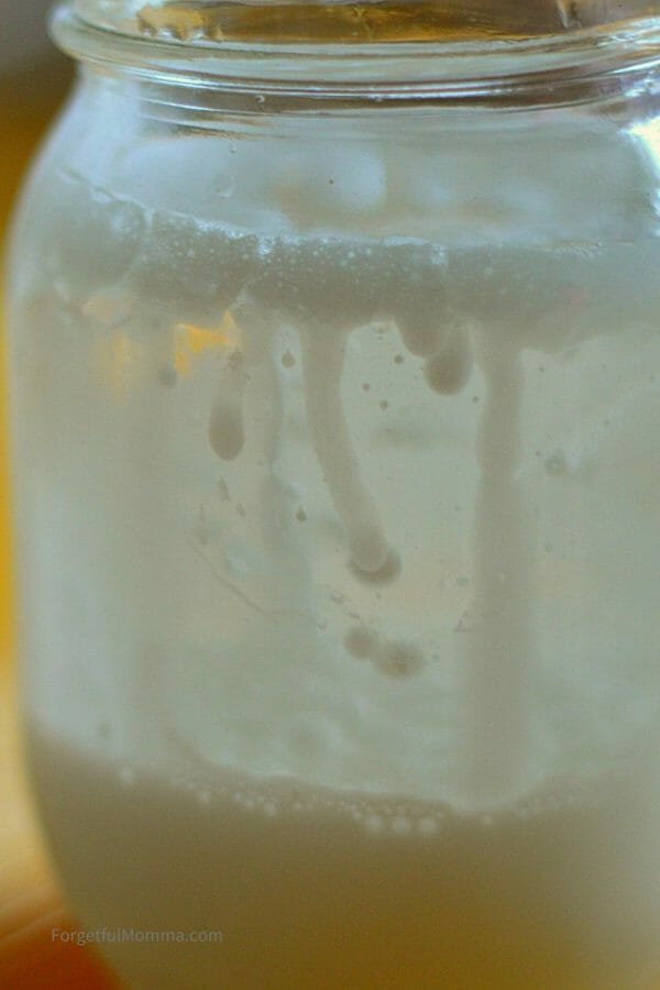 Snow Storm in A Jar Science Experiment
