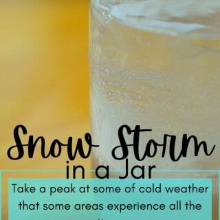 Snow Storm in A Jar Science Experiment
