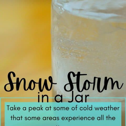 Snow Storm in A Jar Science Experiment