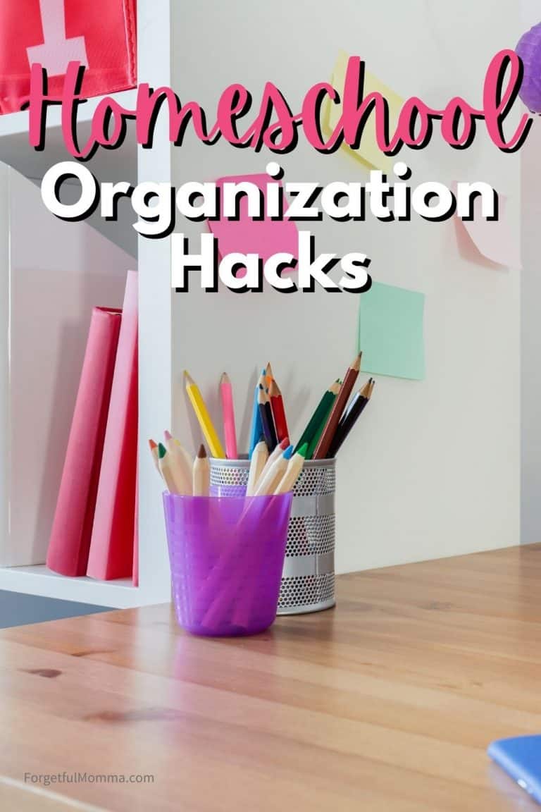 Homeschool Organization Hacks for a Clutter-Free Space