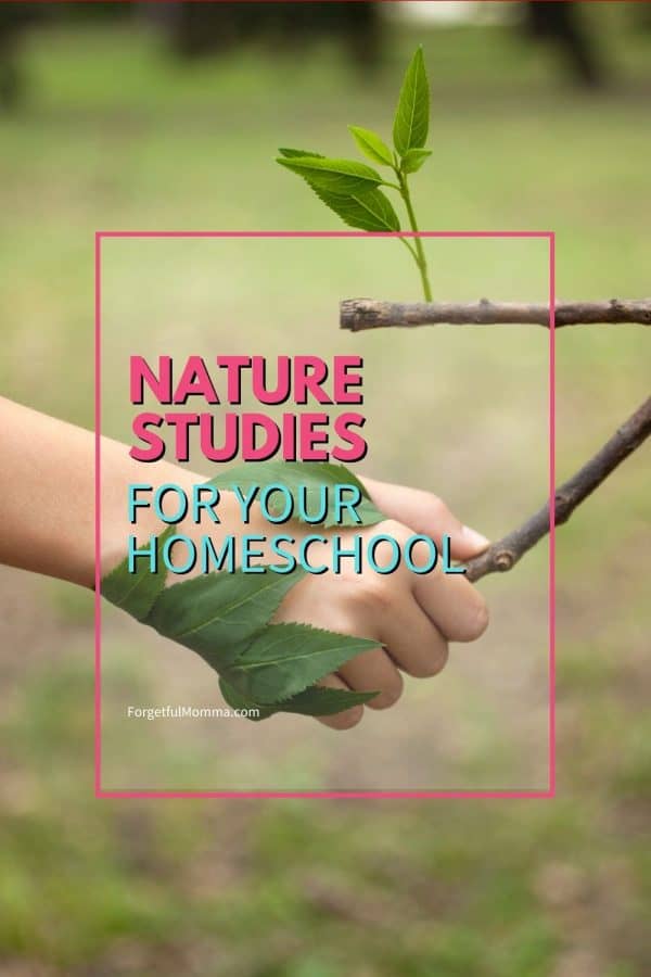 Nature Studies for Homeschooling: Engaging the Kids