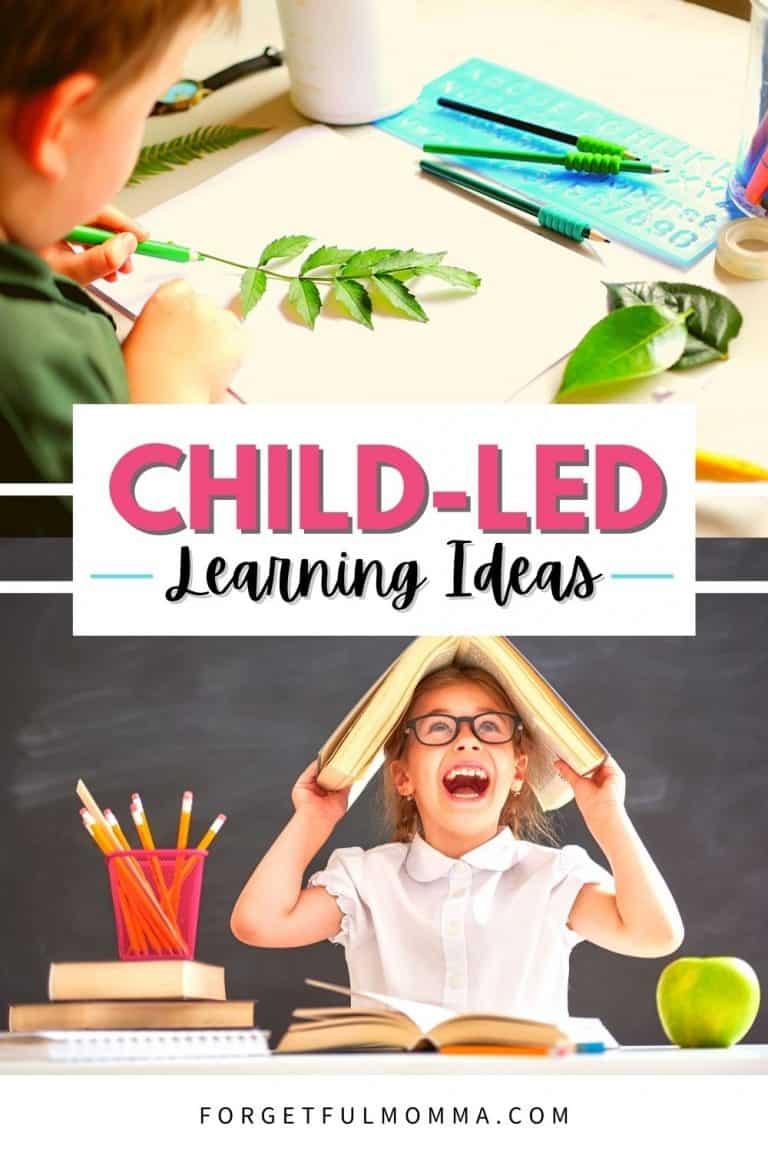 Child-Led Learning Ideas for Homeschool Success