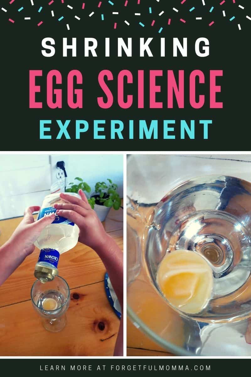 Shrinking Egg Science Experiment Fun for Kids