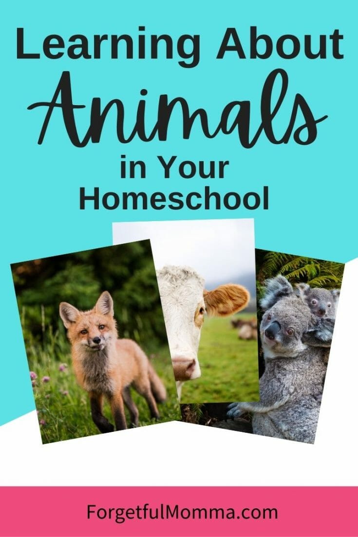 Learning About Animals with Science Experiments