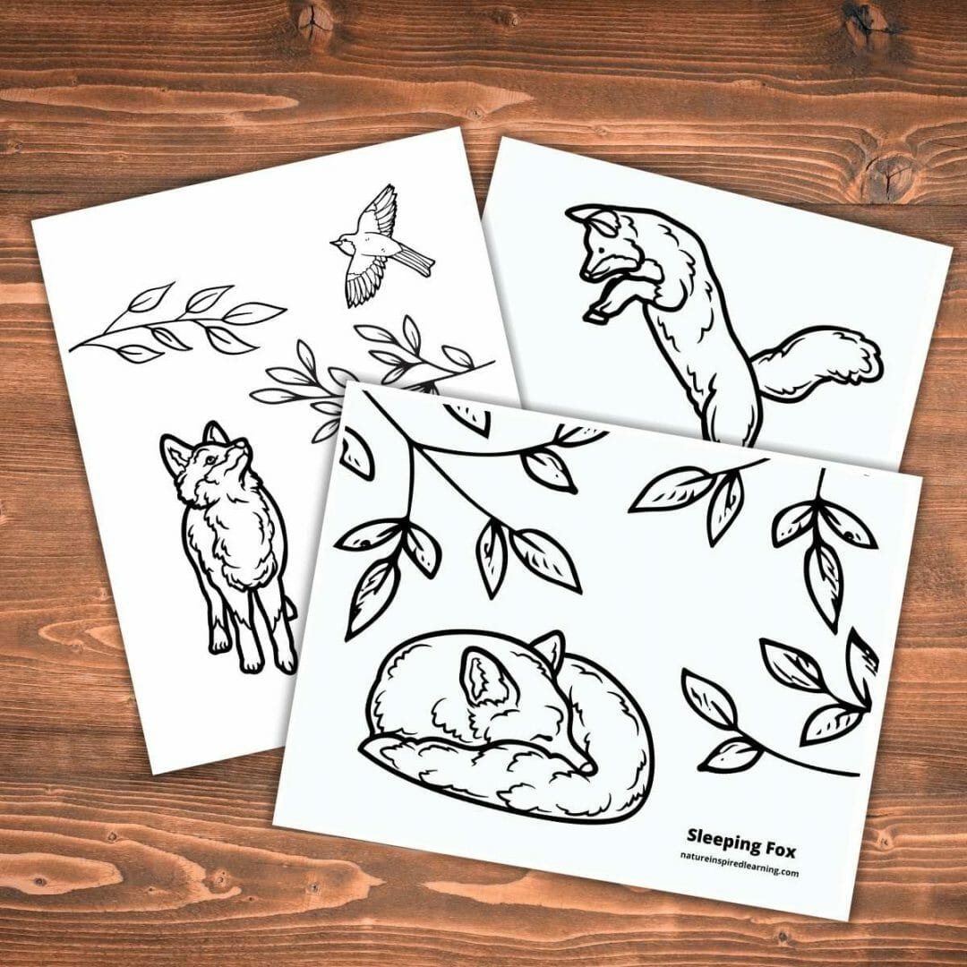 Arctic Animal Crafts for Kids