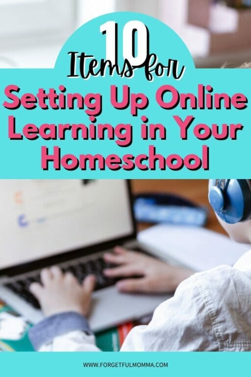 Setting Up Online Learning in Your Homeschool