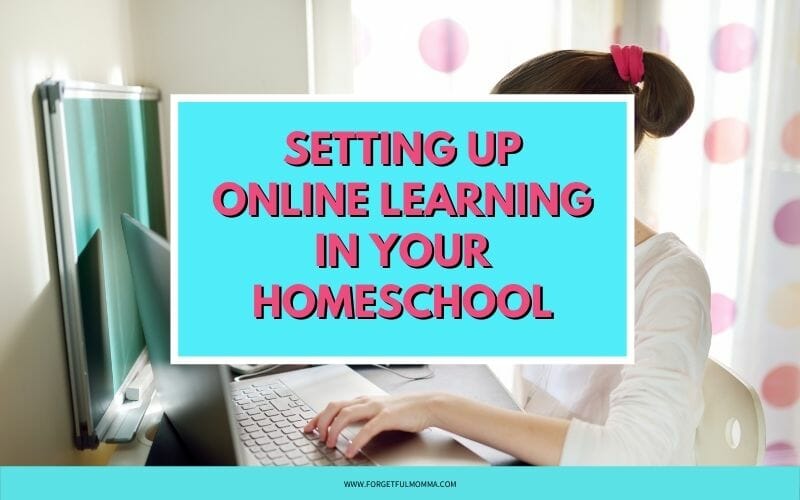 Setting Up Online Learning in Your Homeschool